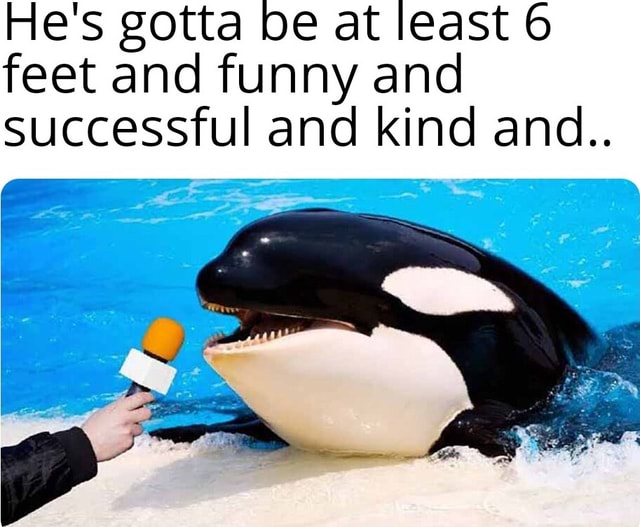 He's gotta be at least 6 feet and funny and successful and kind and ...