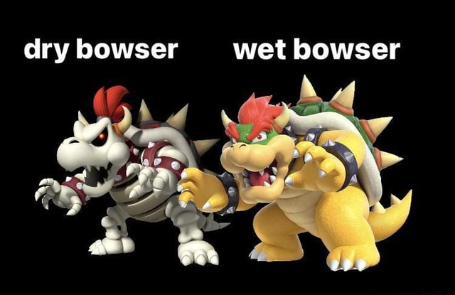 Dry bowser wet bowser ao" he - iFunny
