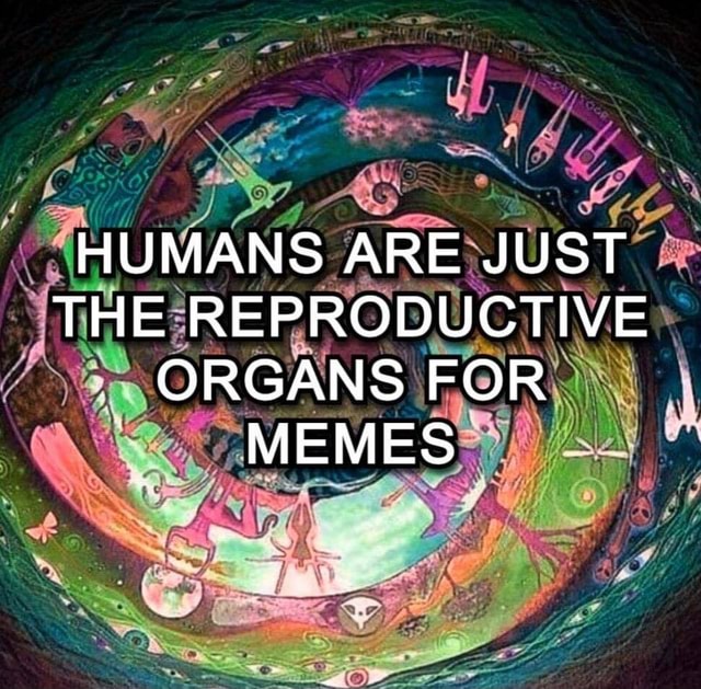 N/A - HUMANS ARE JUST THE REPRODUCTIVE ORGANS FOR MEMES - America’s ...