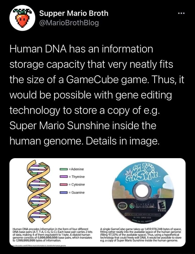 Supper Mario Broth Human DNA has an information storage capacity that ...