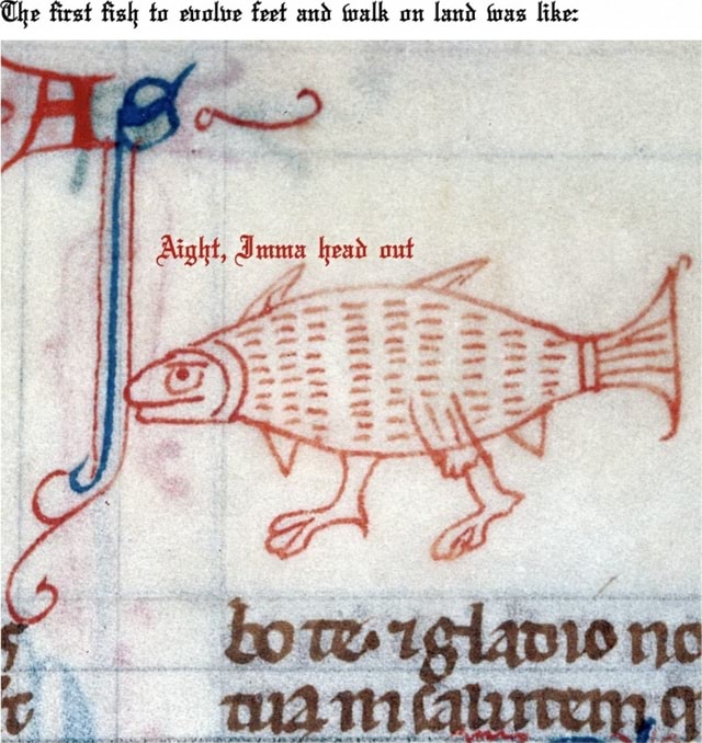 Che first fish to evolve feet and walk on land fas like: HE - iFunny