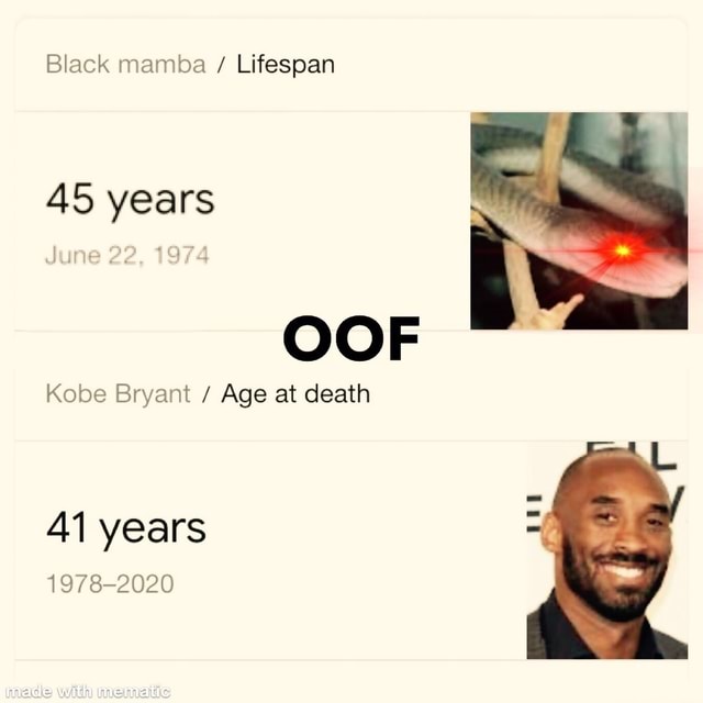 Black mamba Lifespan 45 years OOF Kobe Bryant Age at death 41 years ...