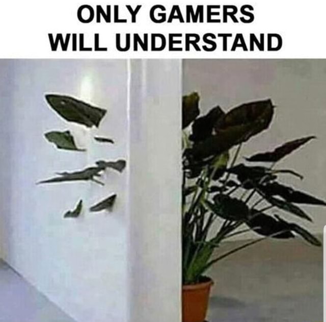 Only "gamers" - ONLY GAMERS WILL UNDERSTAND - iFunny
