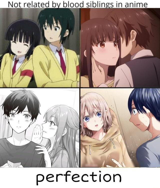 Not related by blood siblings in anime perfection - iFunny