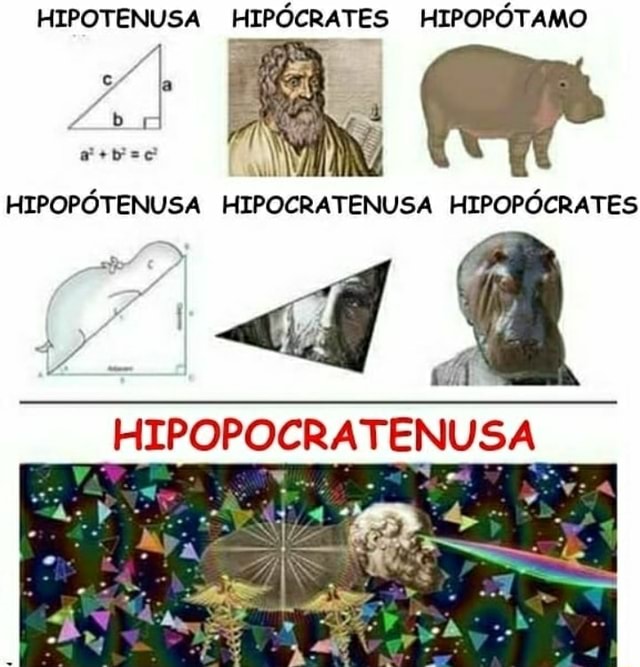 HIPOTENUSA HIPÓCRATES HIPOPÓTAMO HIPOPÓTENUSA HIPOCRATENUSA ...