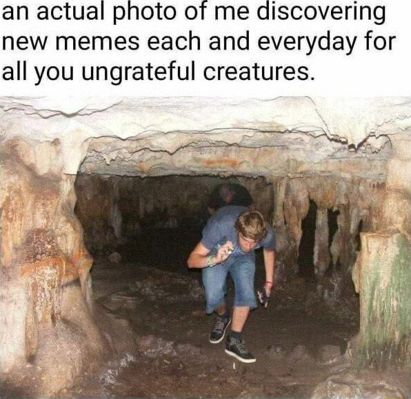 An actual photo of me discovering new memes each and everyday for all ...