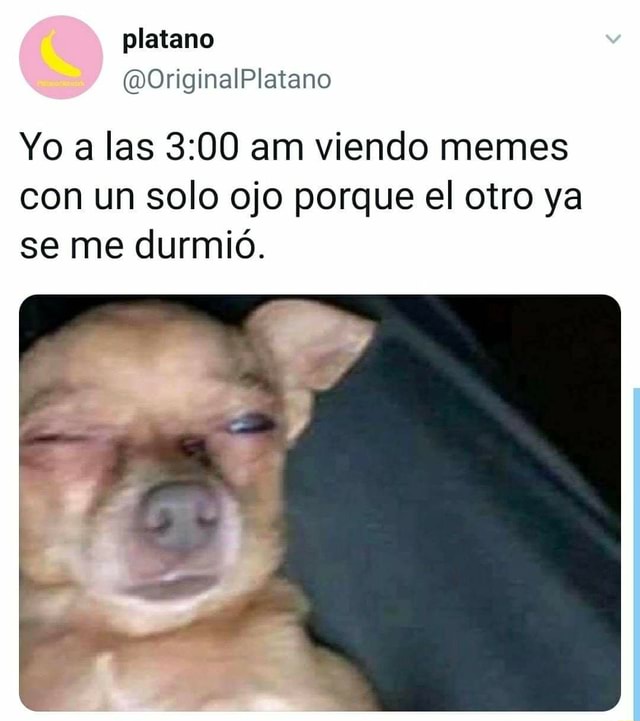 Yo alas am viendo memes con un solo ojo porque el otro ya se me durmio ...