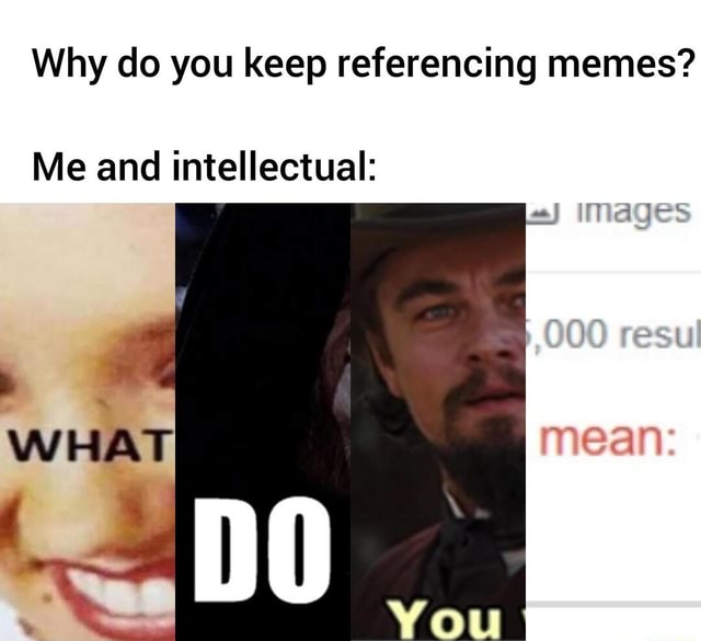 Why do you keep referencing memes? Me and intellectual: ages - iFunny