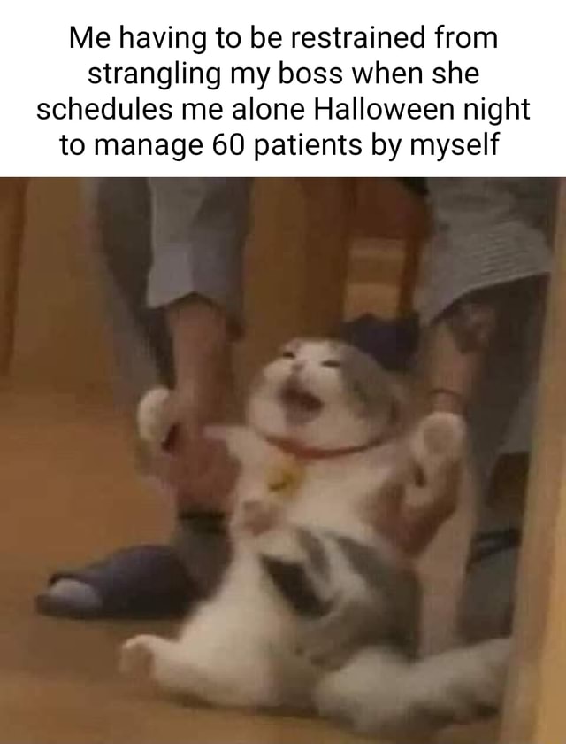 Me having to be restrained from strangling my boss when she schedules ...