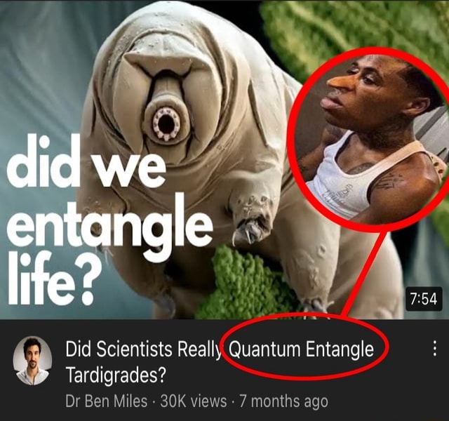 Didwe entangle th Did Scientists Really Quantum Entangle Tardigrades ... Didwe entangle th Did Scientists Really Quantum Entangle Tardigrades ...