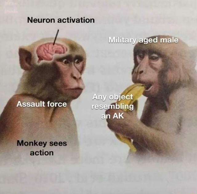 Military aged male Neuron activation Any object Assault force ...