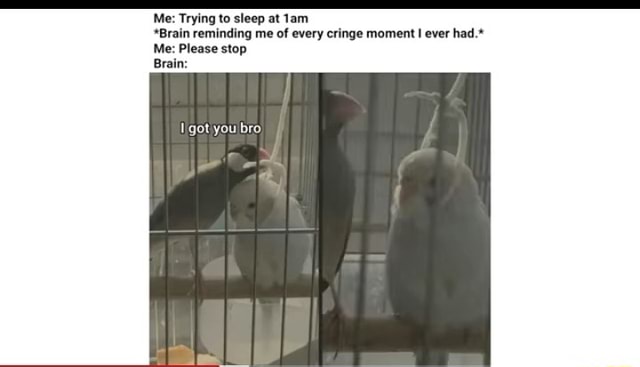 Me: Trying to sleep at *Brain reminding me of every cringe moment ever ...