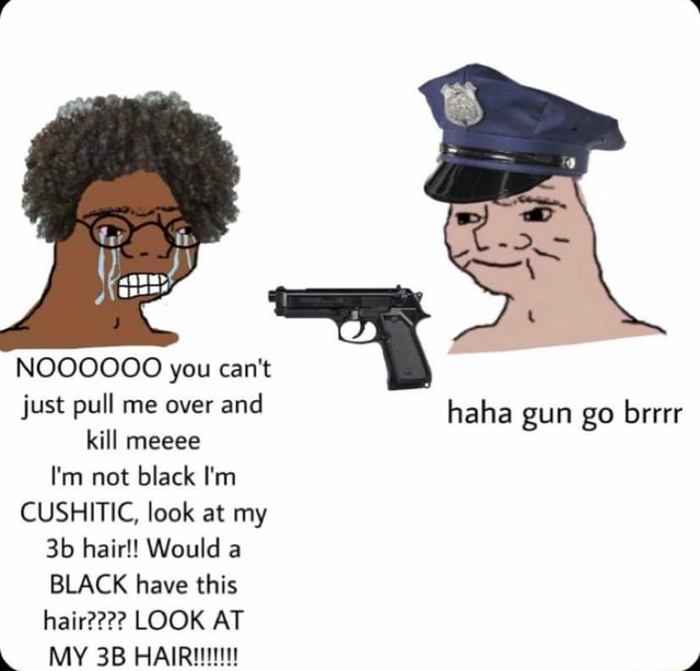 NOOOOOO you can't just pull me over and haha gun go brrrr Kill meeee I ...