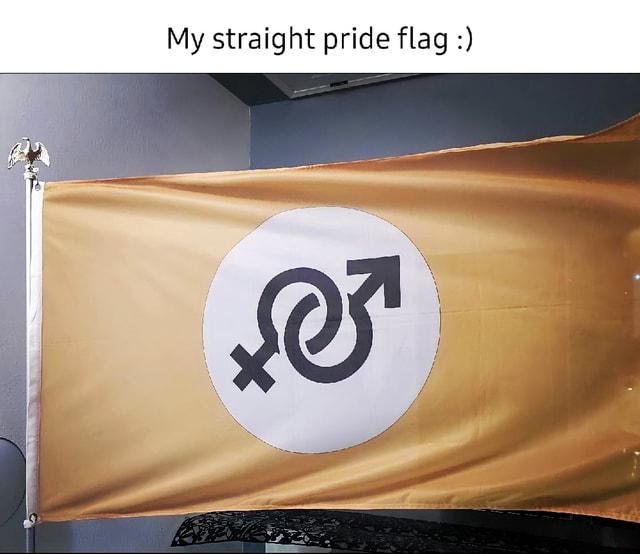 My straight pride flag - iFunny
