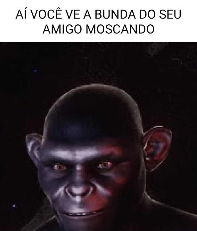 AÍ VocÊ Ve A Bunda Do Seu Amigo Moscando Seotitle