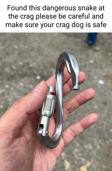 Found this dangerous snake at the crag please be careful and make sure ...