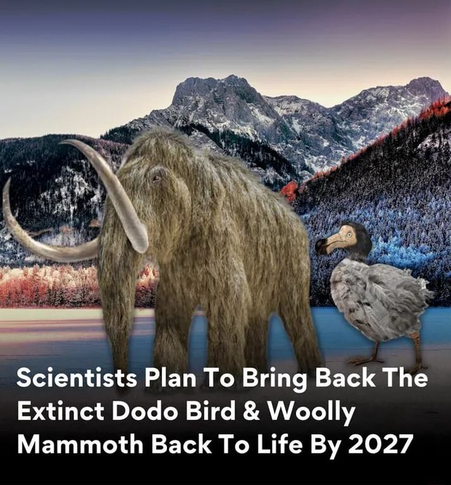 Scientists Plan To Bring Back The Extinct Dodo Bird & Woolly Mammoth ...