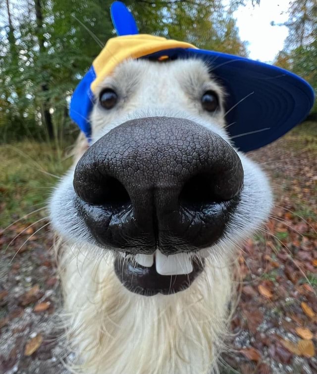 Did someone say goofy selfies Happy Selfie Saturday Share your selfies ...