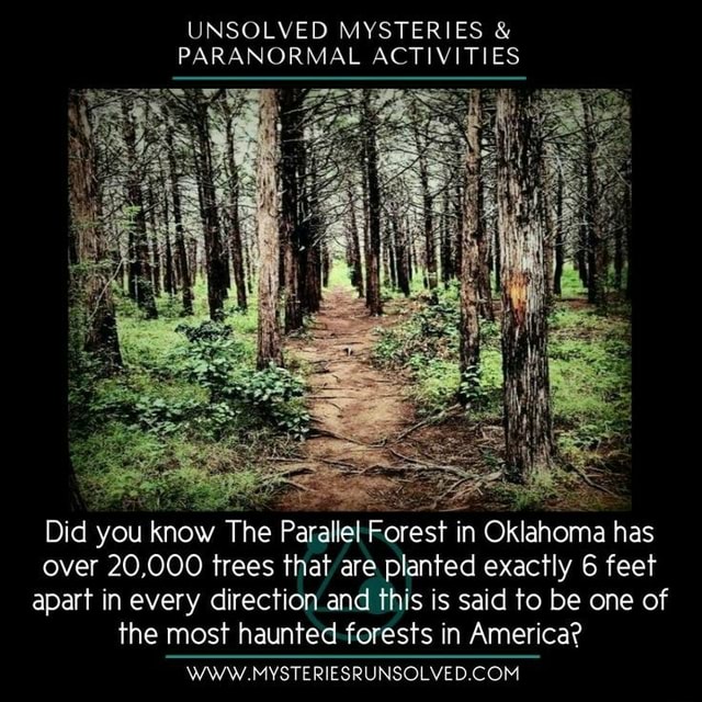 UNSOLVED MYSTERIES PARANORMAL ACTIVITIES Did you know The Parallel ...
