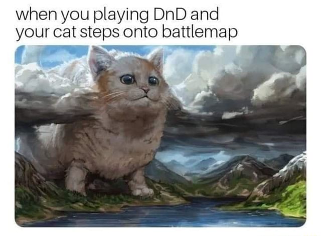 When you playing DnD and your cat steps onto battlemap he - iFunny