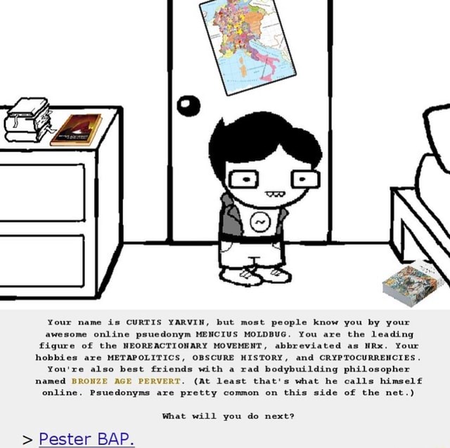 Your name is CURTIS YARVIN, but most people know you by your awesome ...