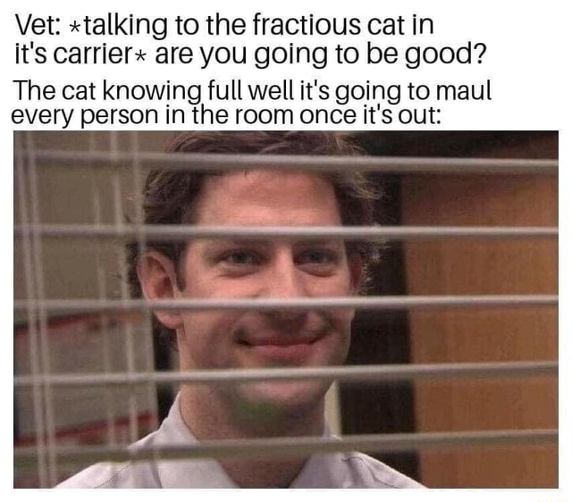 Vet: "talking to the fractious cat in it's carrier+ are you going to be ...