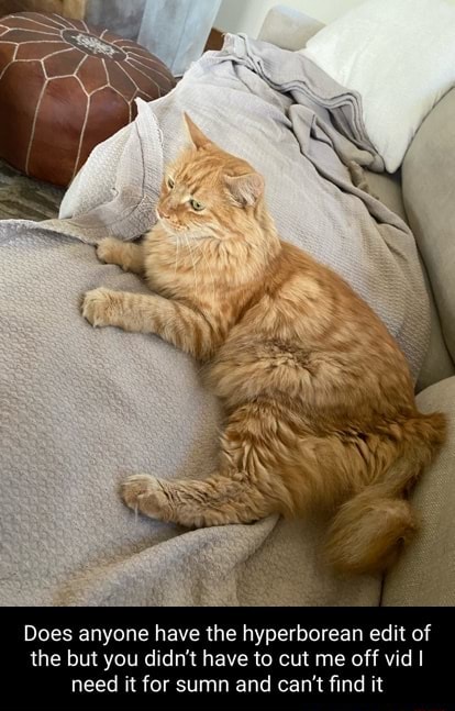 Does anyone have the hyperborean edit of the but you didn't have to cut ...