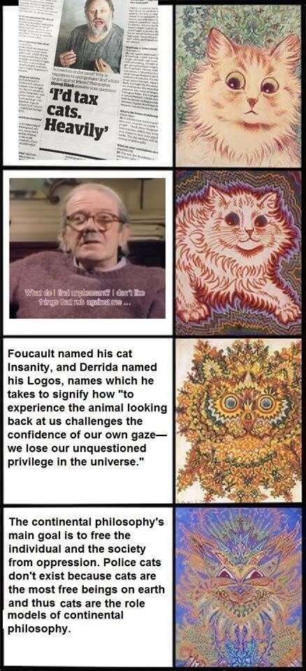 Foucault named his cat Insanity, and Derrida named his Logos, names ...