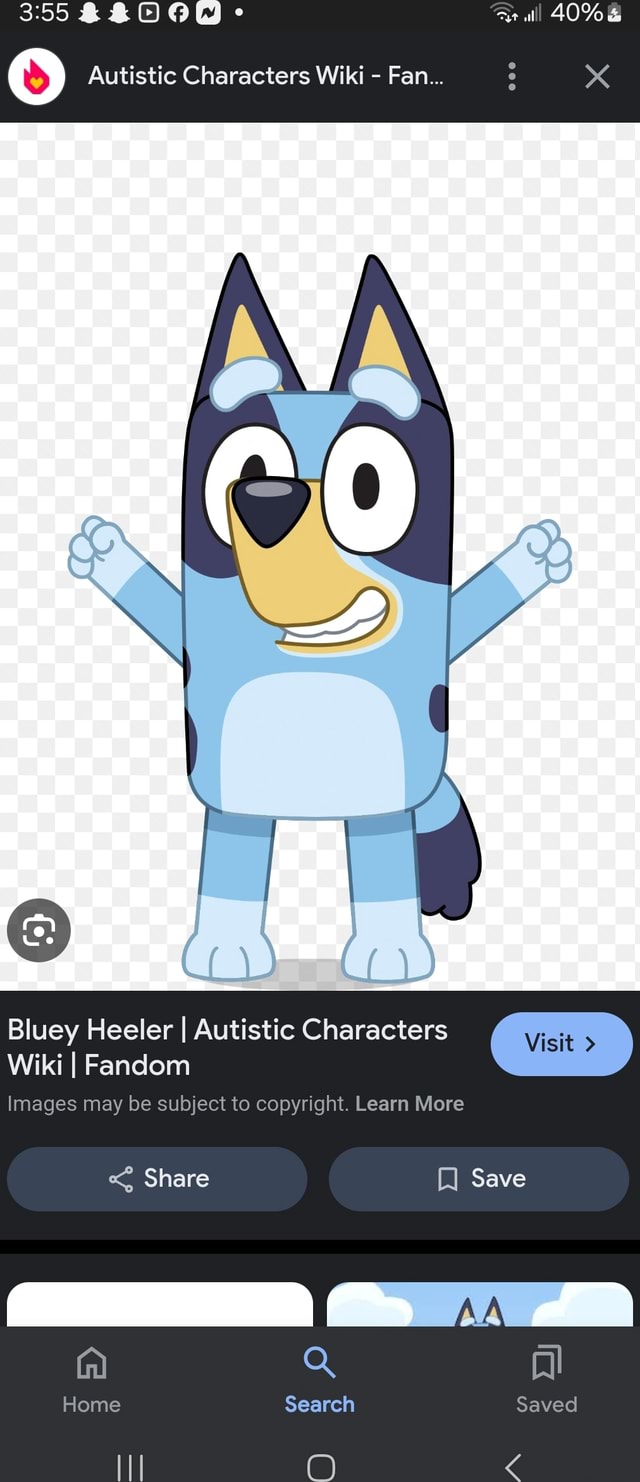 Autistic Characters Wiki - Fan... Bluey Heeler I Autistic Characters ...
