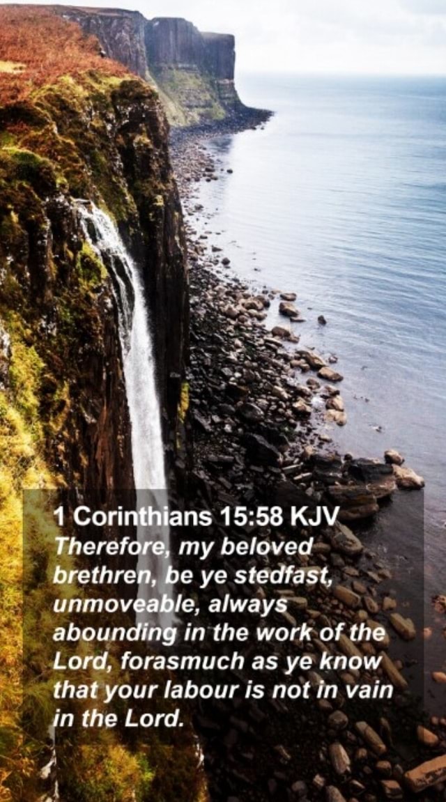 1 Corinthians KJV Therefore. my beloved brethren, be ye stedfast le ...
