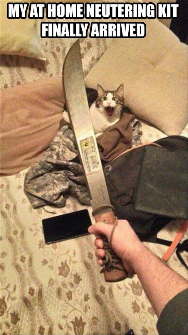 MY AT HOME NEUTERING KIT FINALLY ARRIVED - iFunny