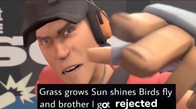 Grass grows Sun shines Birds fly and brother I got rejected - iFunny