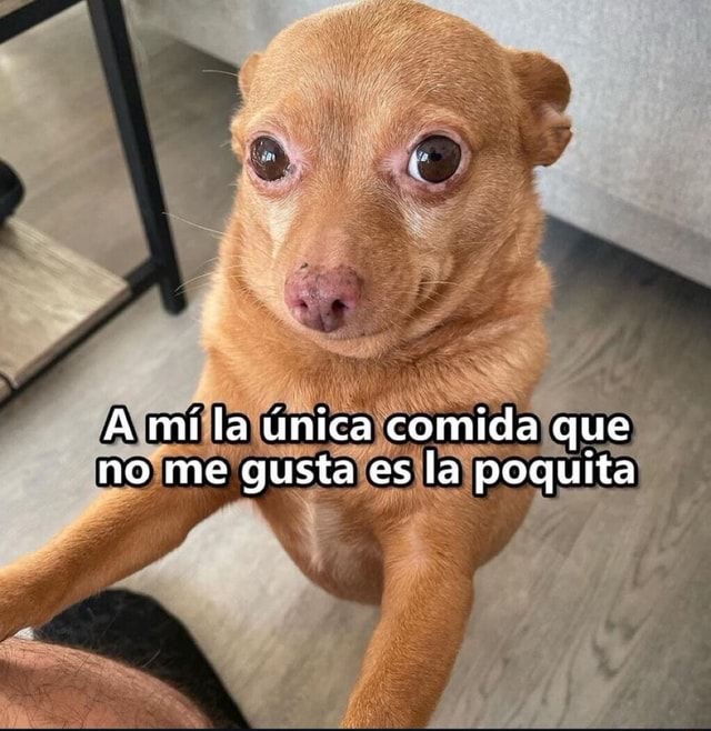 A mi la única comida que no me gusta es la poquita di - iFunny