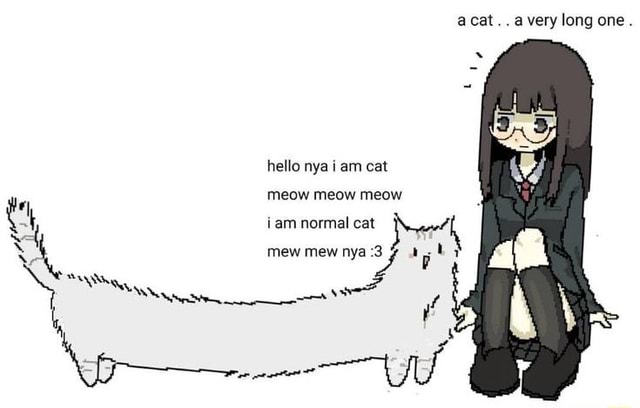 Hello nya am cat Meow meow meow yam normal cat mew mew nya acat a very ...