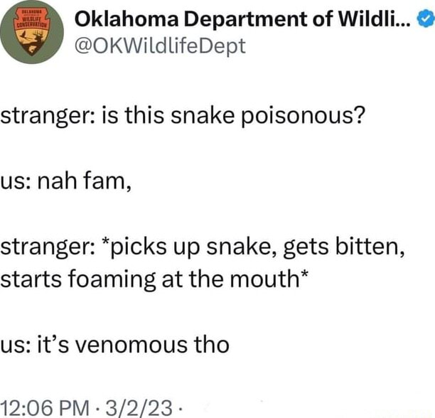 Stranger: is this snake poisonous? us: nah fam, stranger: *picks up ...