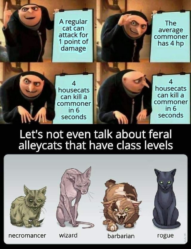 A regular The cat can average attack for commoner has 4 hp housecats ...