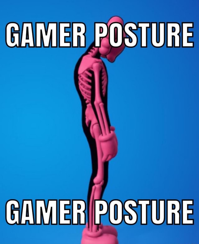 GAMER POSTURE GAMER POSTURE - iFunny