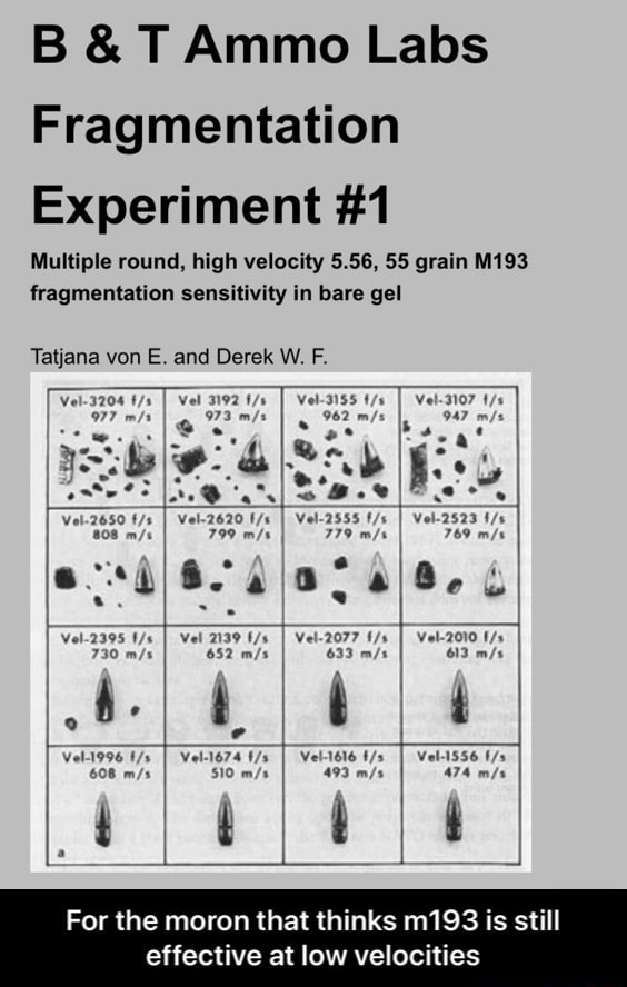 Fragmentation Experiment #1 Multiple round, high velocity 5.56, 55 ...