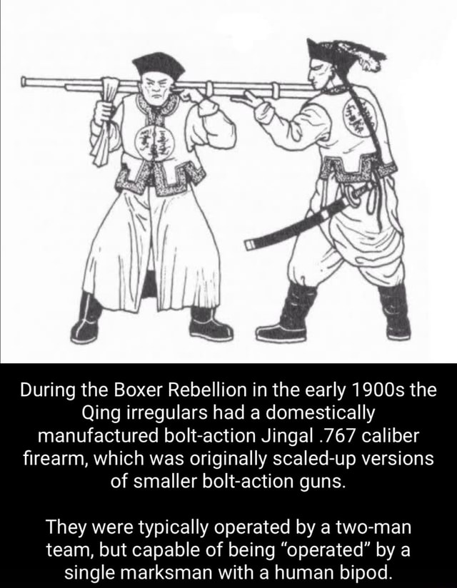 During the Boxer Rebellion in the early 1900s the Qing irregulars had a ...