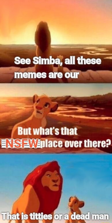 See Simba, all these memes are our what's that ENS ace over there ...