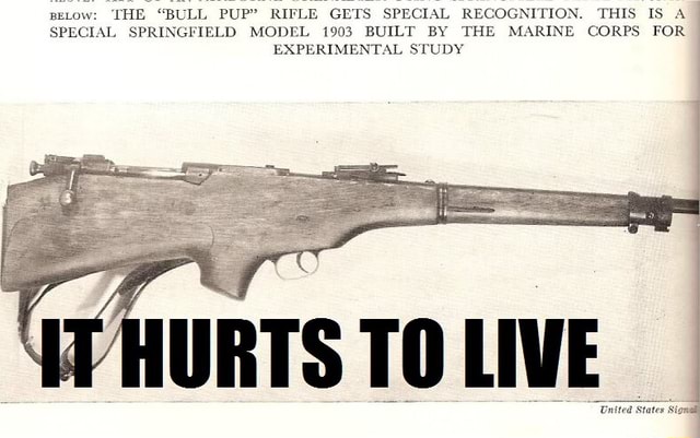 Prow: THE "BULL PUP" RIFLE GETS SPECIAL RECOGNITION. THIS IS A SPECIAL ...