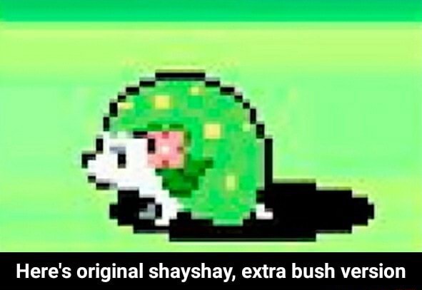 Here's original shayshay, extra bush version - Here's original shayshay ...
