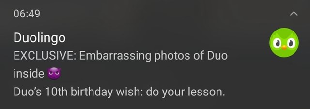 Duolingo EXCLUSIVE: Embarrassing photos of Duo inside Duo's 10th ...