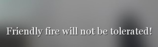 Friendly fire will not be tolerated! - iFunny