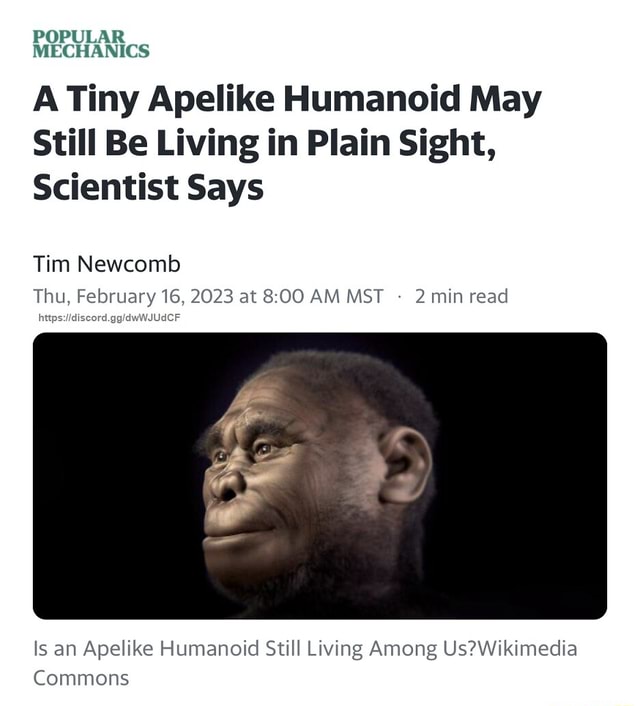 POPULAR MECHANICS A Tiny Apelike Humanoid May Still Be Living in Plain ...