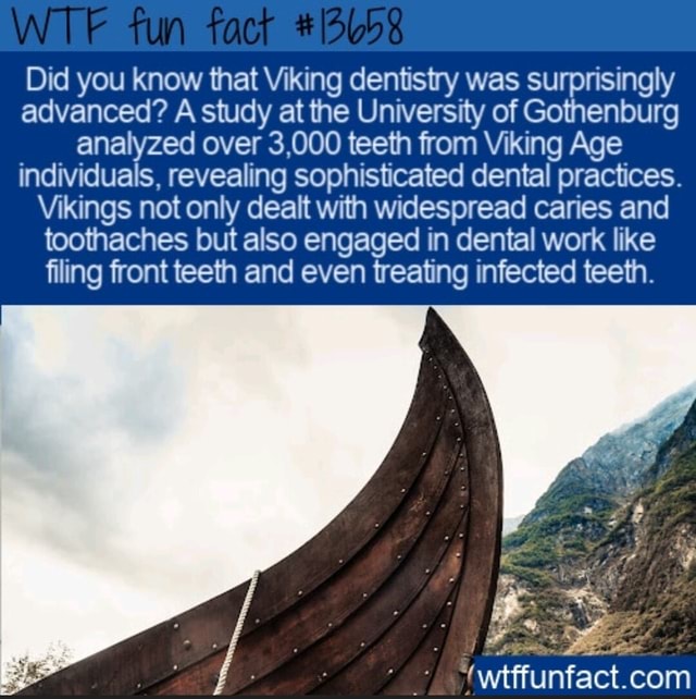 Did you know that Viking dentistry was surprisingly advanced? A study ...