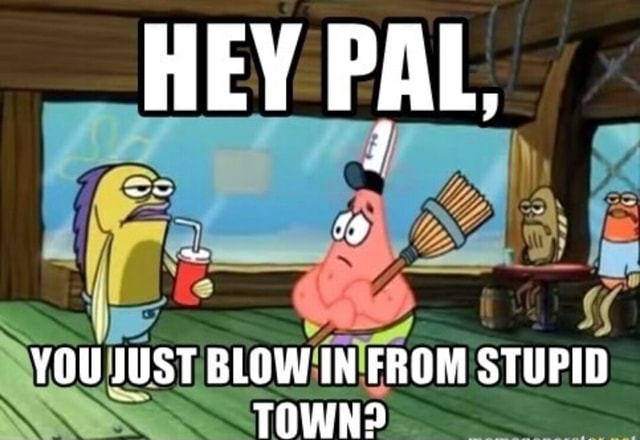 HEY PAL, YOU JUST BLOW IN FROM STUPID TOWN? - iFunny