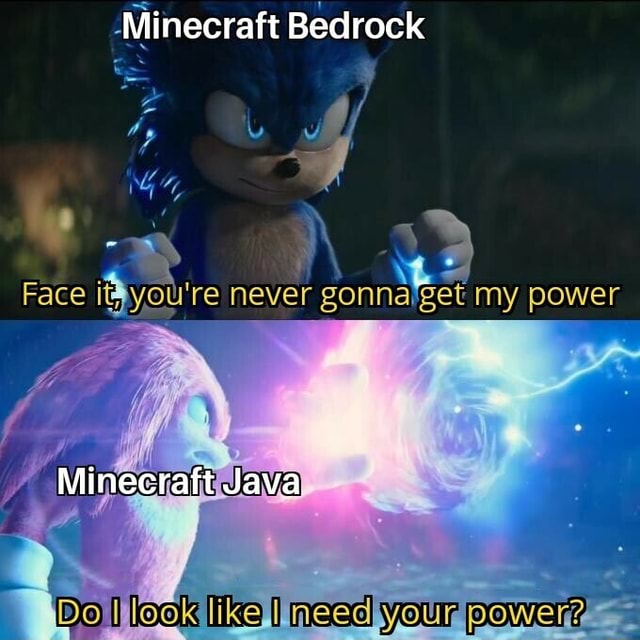 'Minecraft Bedrock Face re never gonnafget my power Minecraft Java Doll ...