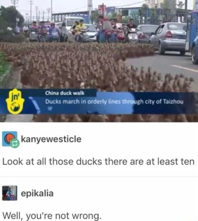 China duck walk Ducks march in orderly lines thrau of Taizhou Look at ...