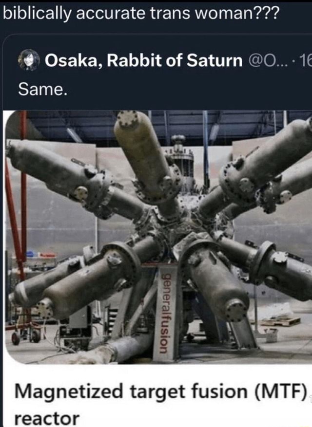 MTF - MTF biblically accurate trans woman??? Osaka, Rabbit of Saturn @O ...